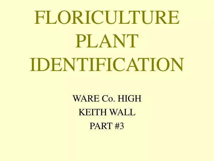 PPT - FLORICULTURE PLANT IDENTIFICATION PowerPoint Presentation, free ...
