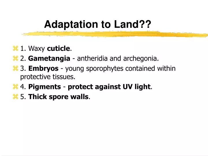 PPT - Adaptation to Land?? PowerPoint Presentation, free download - ID ...