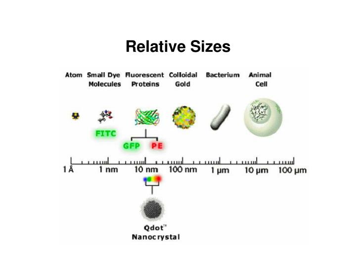PPT - Nanoparticles PowerPoint Presentation - ID:1151112