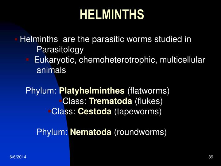 PPT - Eukaryotic Microbes PowerPoint Presentation - ID:1151207