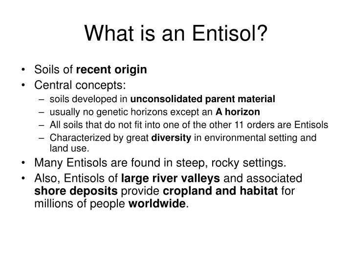 PPT - If it ain’t anything else, it’s an… Entisol PowerPoint ...