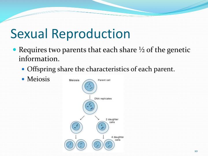 Ppt Asexual Vs Sexual Reproduction Powerpoint Presentation Id1151381