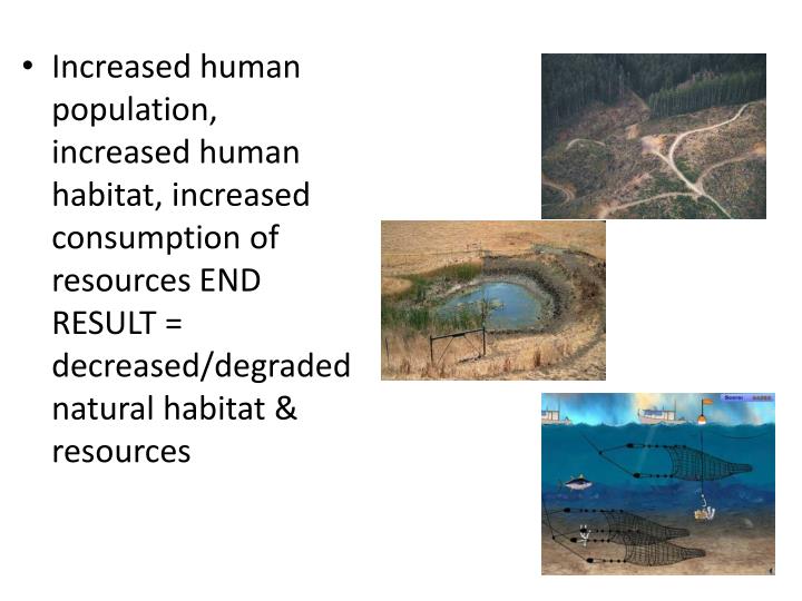 PPT - Ecological Adaptations of Plants & Animals PowerPoint ...
