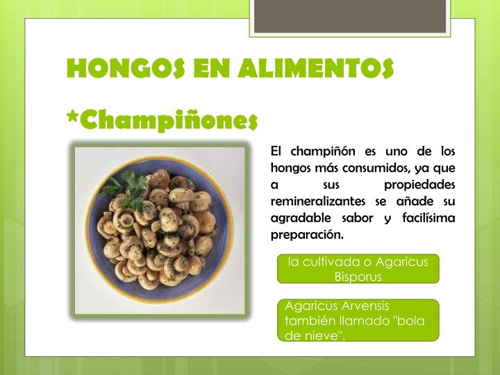 PPT - HONGOS EN LA INDUSTRIA PowerPoint Presentation - ID:1151788