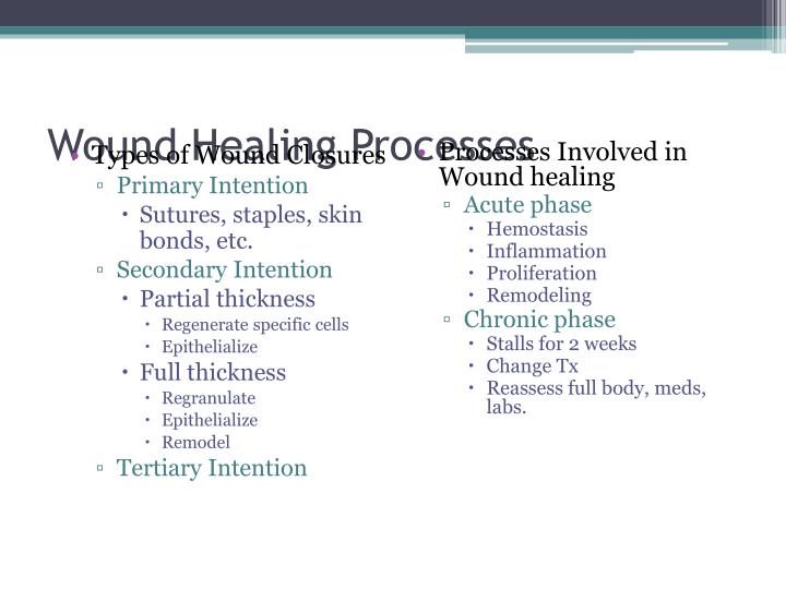 PPT - WOUND CARE PowerPoint Presentation - ID:1152059