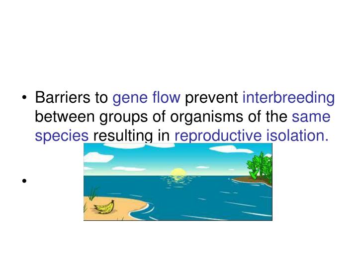 PPT - REPRODUCTIVE ISOLATION PowerPoint Presentation - ID:1152210