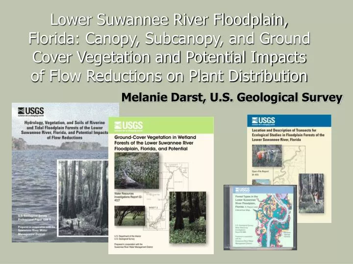 PPT - Lower Suwannee River Floodplain, Florida: Canopy, Subcanopy, and ...
