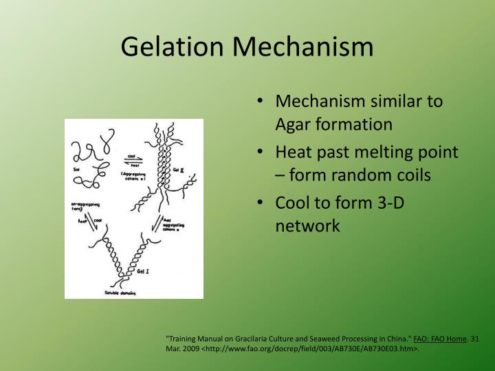 PPT - Carrageenan PowerPoint Presentation - ID:1152990