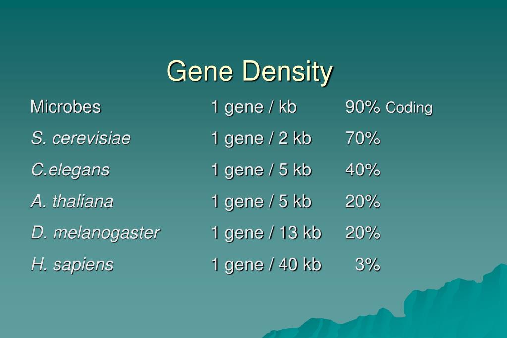 PPT - Medicina Genetica (3 Crediti) PowerPoint Presentation, free ...