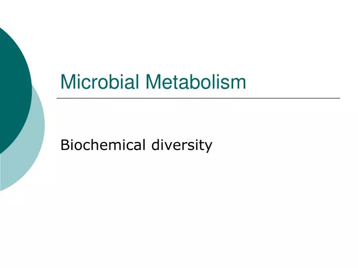 Ppt Microbial Diversity Powerpoint Presentation Id6312461 Ppt Microbial Diversity Powerpoint Presentation Id6312461