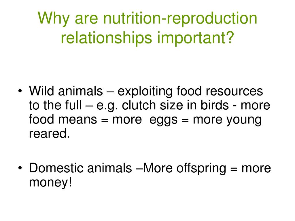 Ppt Nutrition And Reproduction The Sheep Model Powerpoint