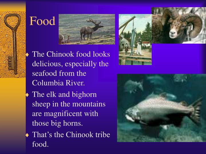 PPT - Chinook Indians PowerPoint Presentation - ID:115477