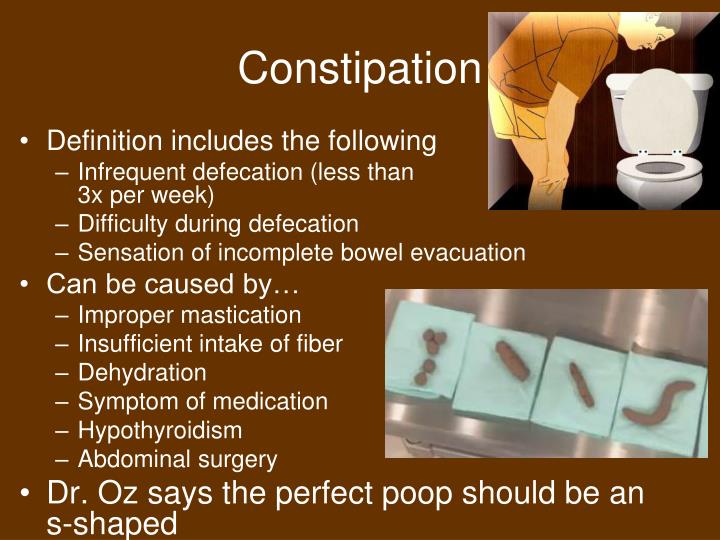 PPT - Poo Facts PowerPoint Presentation - ID:1155217