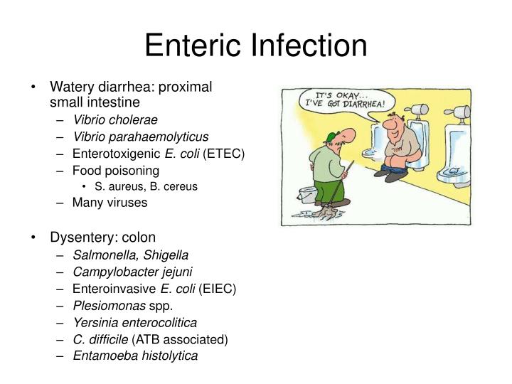 PPT - Clinically Encountered Bacteria PowerPoint Presentation - ID:1156665