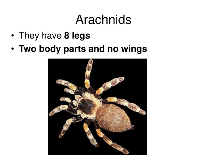 PPT - Variety of Life PowerPoint Presentation - ID:1156686