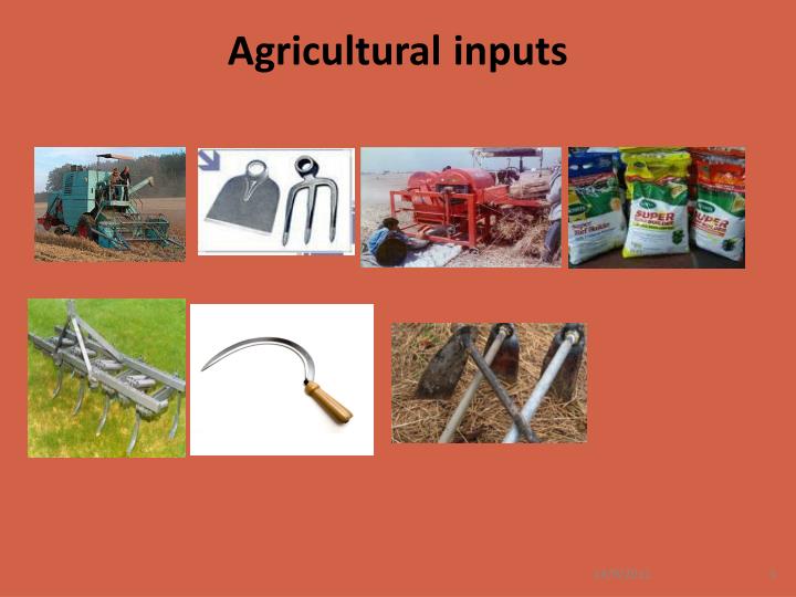 PPT - MARKETING OF AGRICULTURAL INPUTS PowerPoint Presentation - ID:1156880