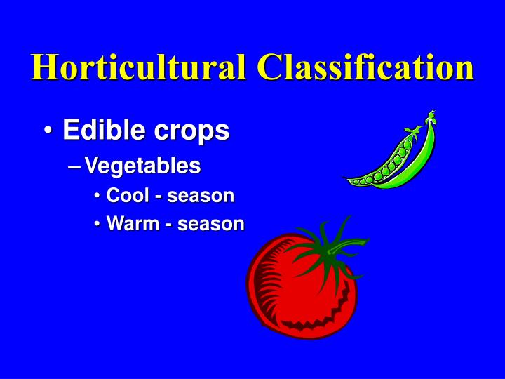 PPT - Horticultural Classification PowerPoint Presentation - ID:1157246
