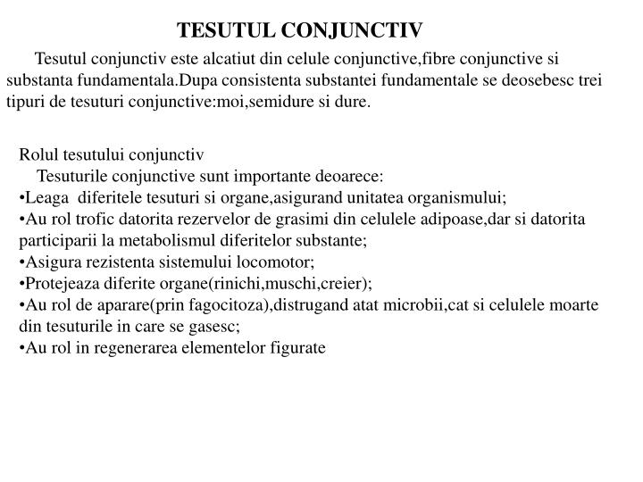 PPT - CELULA PowerPoint Presentation - ID:1158066