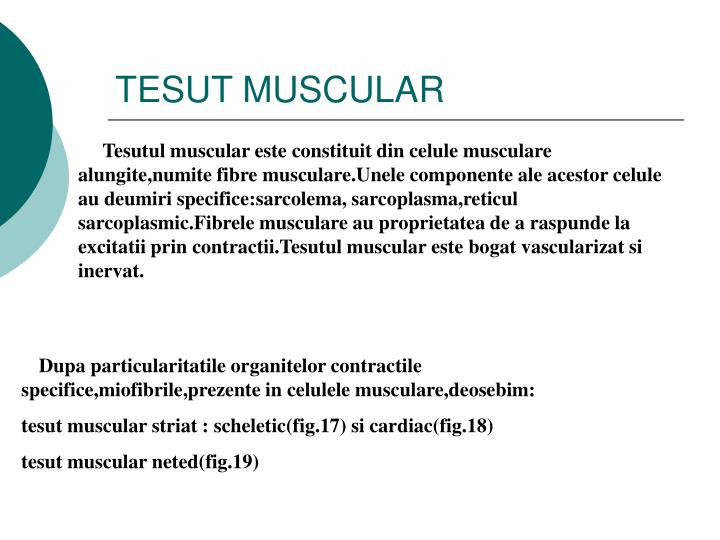 PPT - CELULA PowerPoint Presentation - ID:1158066