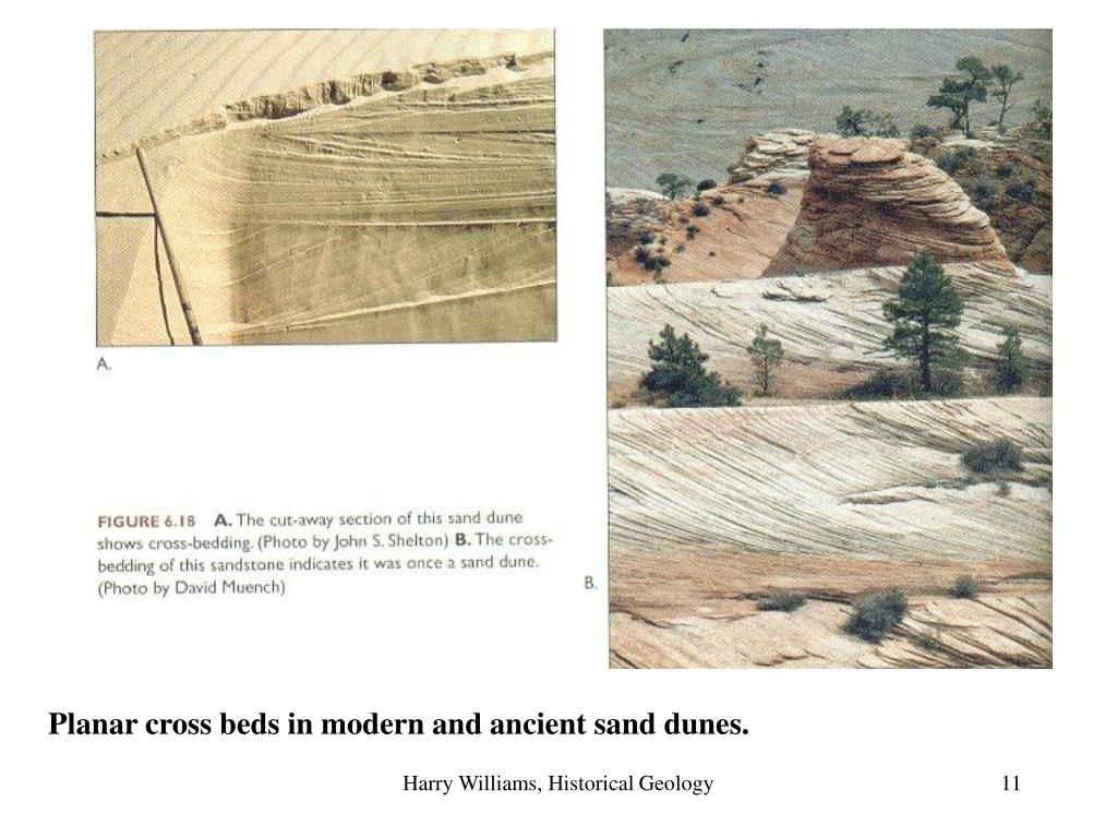 PPT - HISTORICAL GEOLOGY LECTURE 2. SEDIMENTARY ENVIRONMENTS AND ...