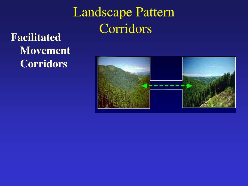 PPT - habitat interspersion – Leopold’s Law of Interspersion PowerPoint ...