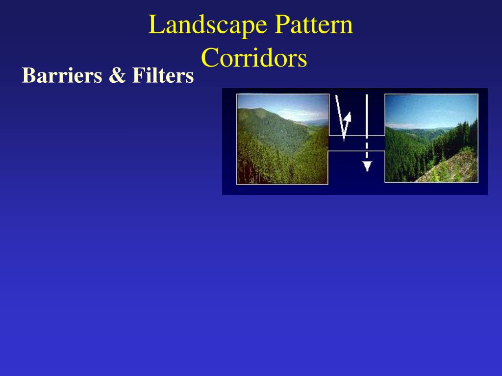PPT - habitat interspersion – Leopold’s Law of Interspersion PowerPoint ...
