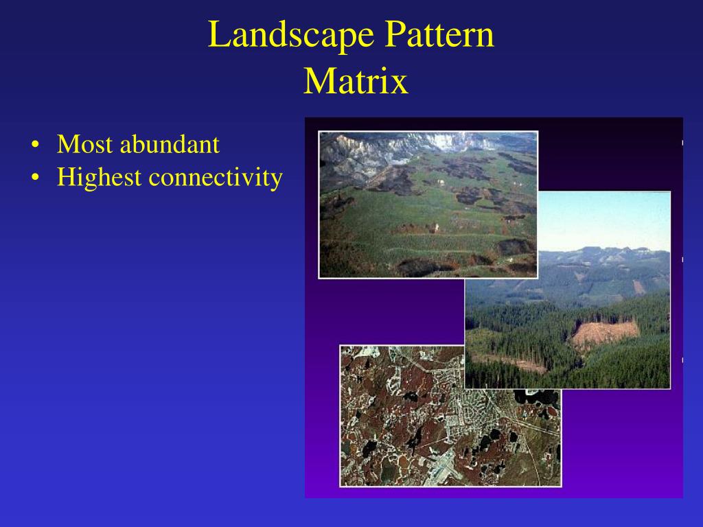 PPT - habitat interspersion – Leopold’s Law of Interspersion PowerPoint ...