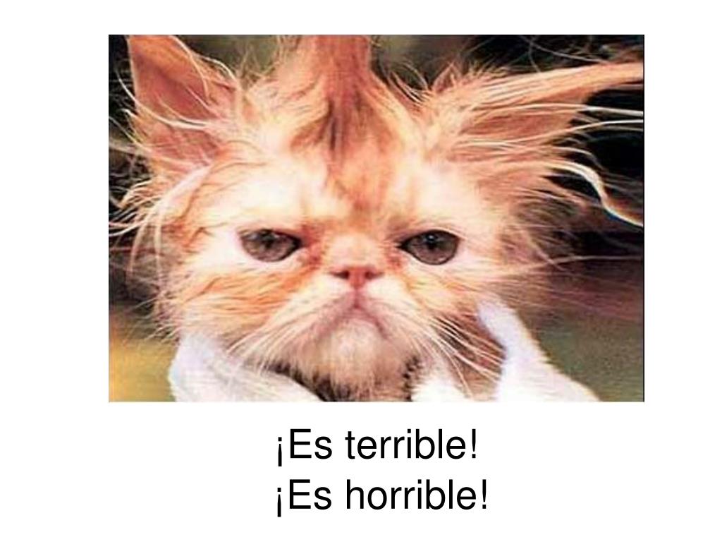 Ppt ¡es Terrible Powerpoint Presentation Free Download Id1158635