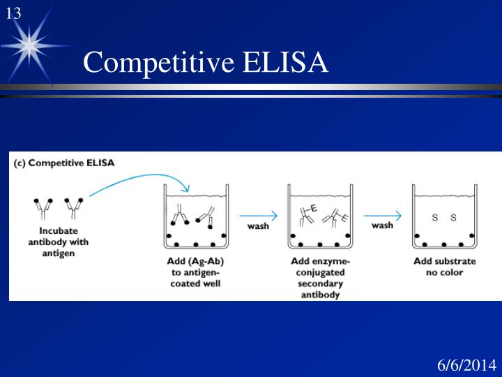 PPT - Antigen - Antibody Interactions PowerPoint Presentation - ID:1159581