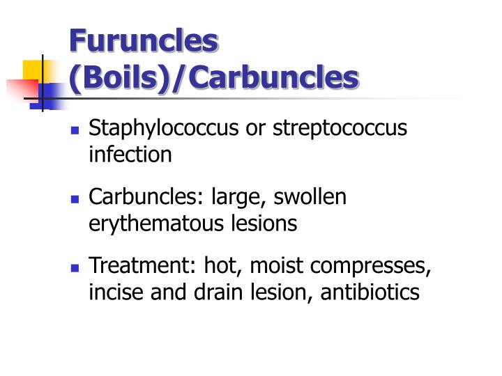 PPT - Integumentary System Skin Diseases/Disorders PowerPoint ...