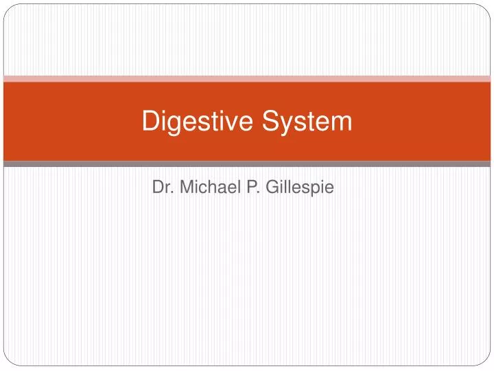 PPT - Digestive System PowerPoint Presentation, free download - ID:1160955