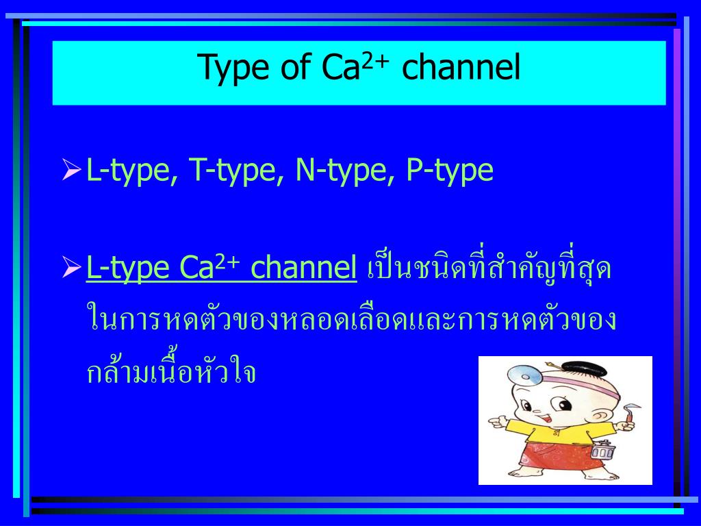 PPT - Vilasinee Hirunpanich B. Pharm(Hon), MSc in Pharm (Pharmacology ...
