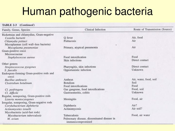 PPT - Water Microbiology/Microbial Contaminants PowerPoint Presentation ...