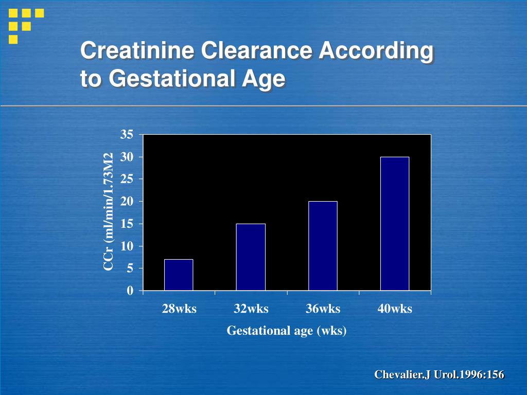 PPT - Infant Acute Kidney Injury PowerPoint Presentation, free download ...