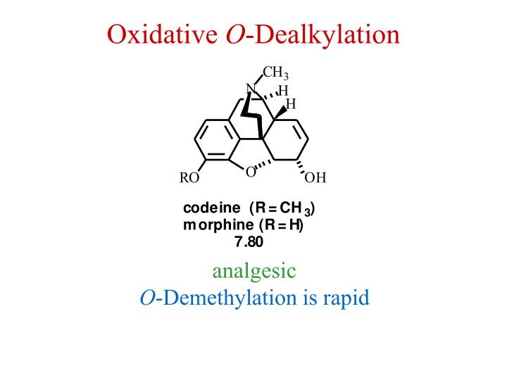PPT - The Organic Chemistry of Drug Design and Drug Action PowerPoint ...
