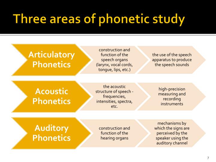 PPT - Phonetics as a scientific study of speech PowerPoint Presentation ...