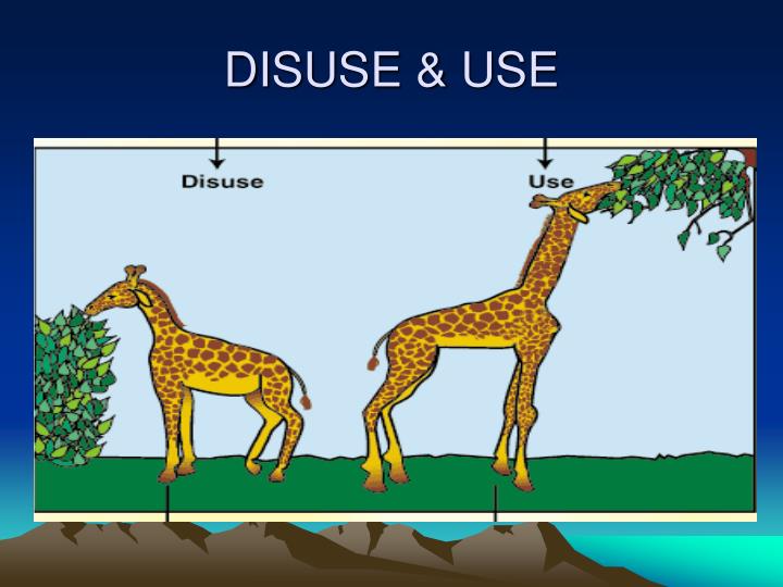 PPT - EARLY THEORIES PowerPoint Presentation - ID:1165956