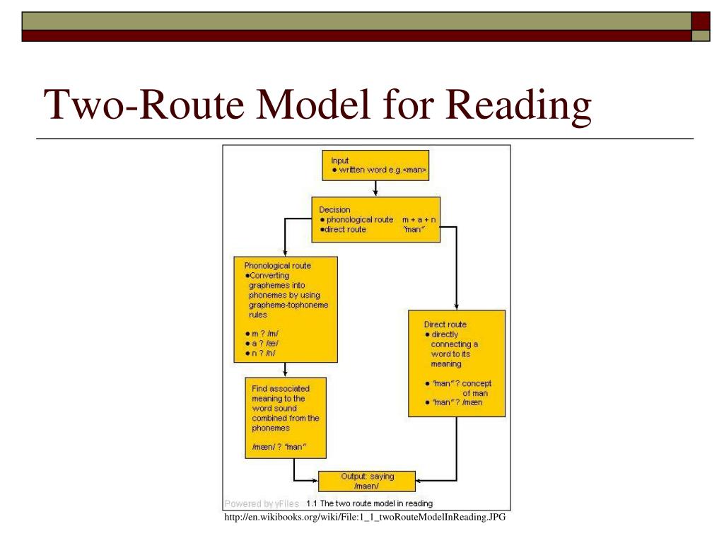 PPT - Computational Cognitive Neuroscience PowerPoint Presentation ... PPT - Computational Cognitive Neuroscience PowerPoint Presentation ...