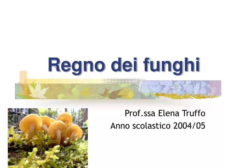 PPT - Regno dei funghi PowerPoint Presentation, free download - ID:1167045