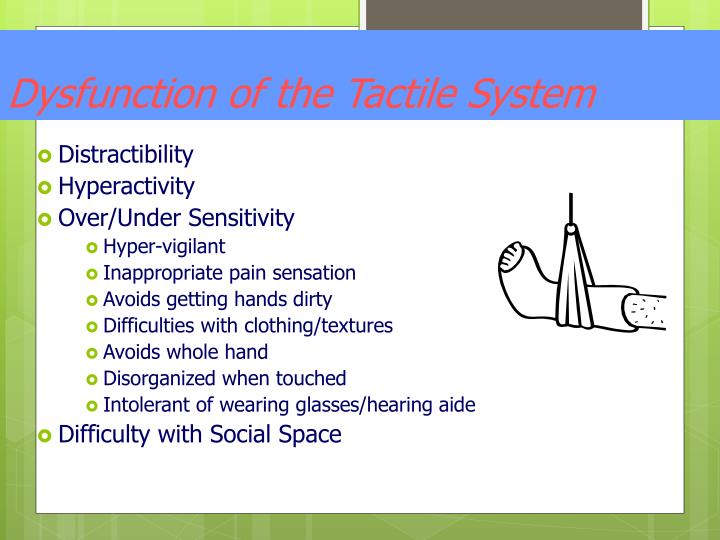 PPT - Sensory Integration: Theory, Disorders, Interventions PowerPoint ...