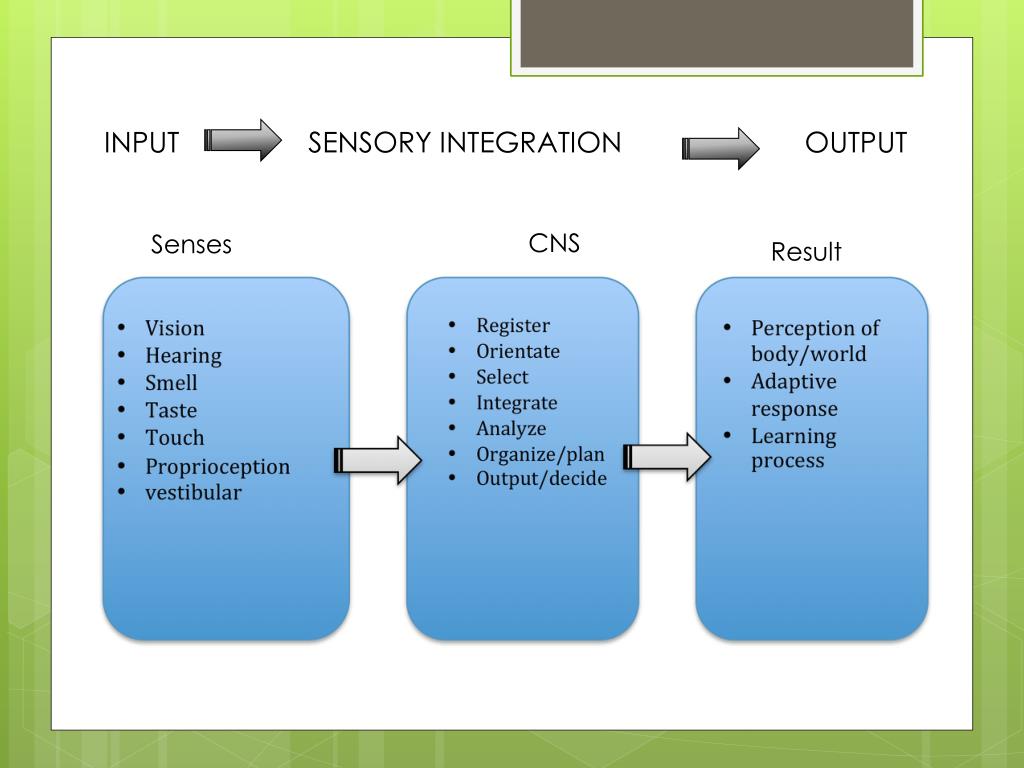 PPT Sensory Integration Theory Disorders Interventions PowerPoint