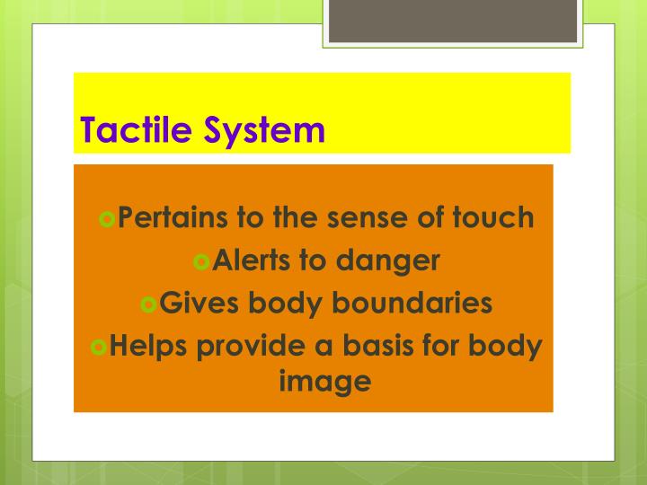 PPT - Sensory Integration: Theory, Disorders, Interventions PowerPoint ...