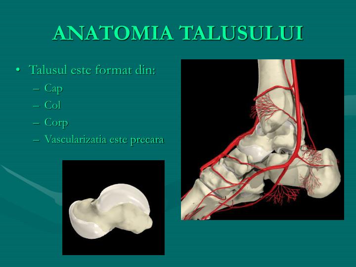 PPT - Fracturile membrului inferior PowerPoint Presentation - ID:1169097
