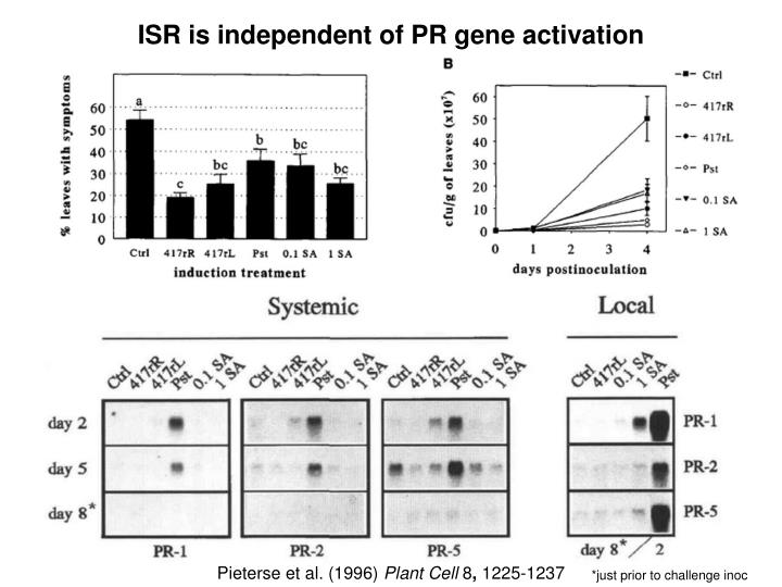 PPT - Induced Systemic Resistance (ISR) PowerPoint Presentation - ID ...