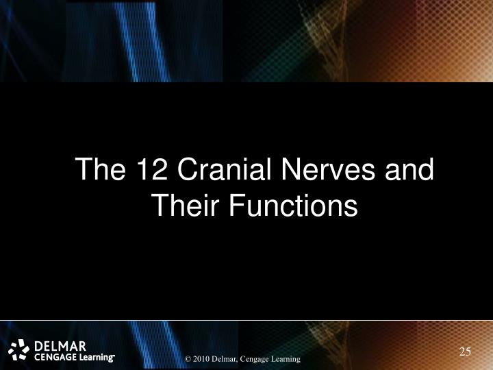 PPT - Chapter 11 PowerPoint Presentation - ID:1171342