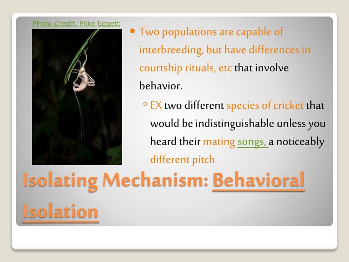PPT - Evolution Continued: Evidence & Other Concepts PowerPoint ...