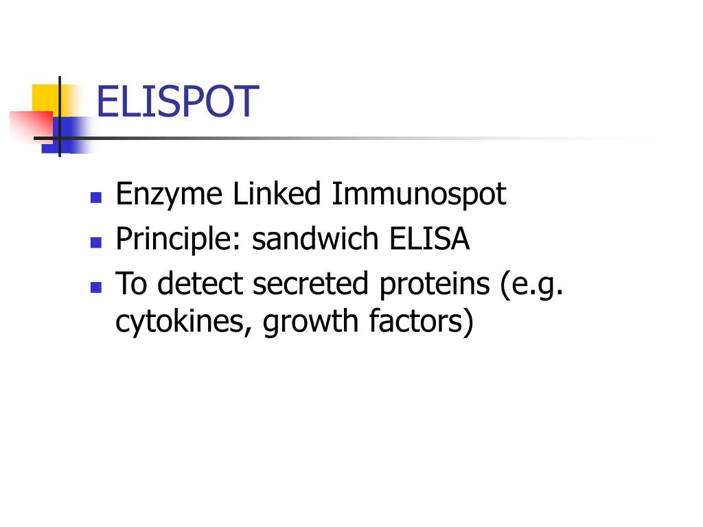PPT - Immunology Assays for Clinical Research PowerPoint Presentation, free download - ID:1171828