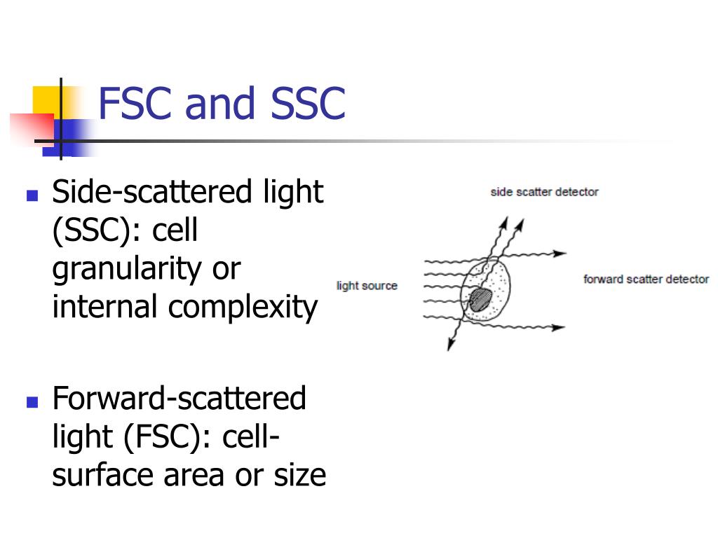 PPT - Immunology Assays for Clinical Research PowerPoint Presentation ...