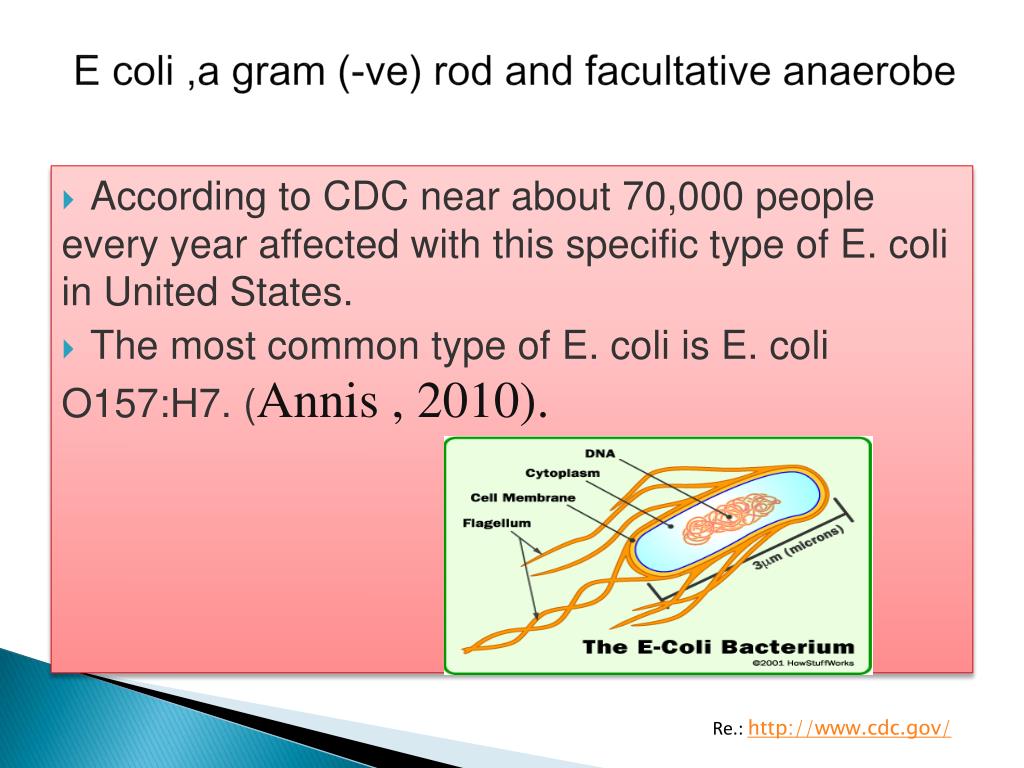 Ppt E Coli O157h7 Food Born Infection Powerpoint Presentation Free Download Id1171922