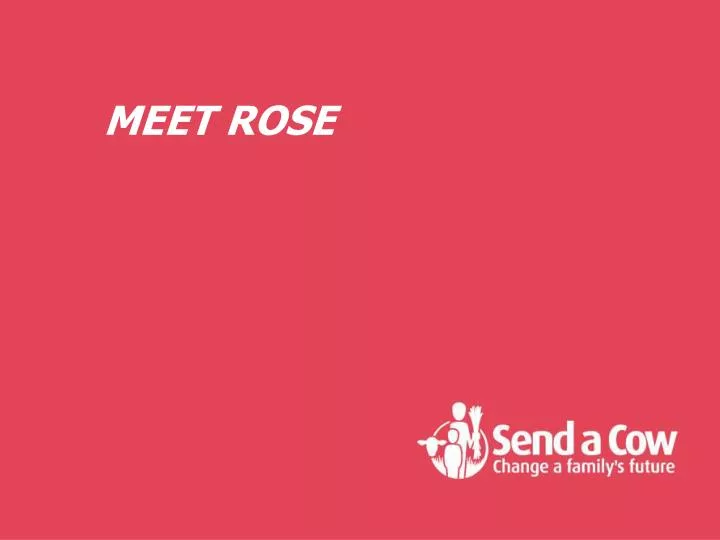 PPT - MEET ROSE PowerPoint Presentation, free download - ID:1174127
